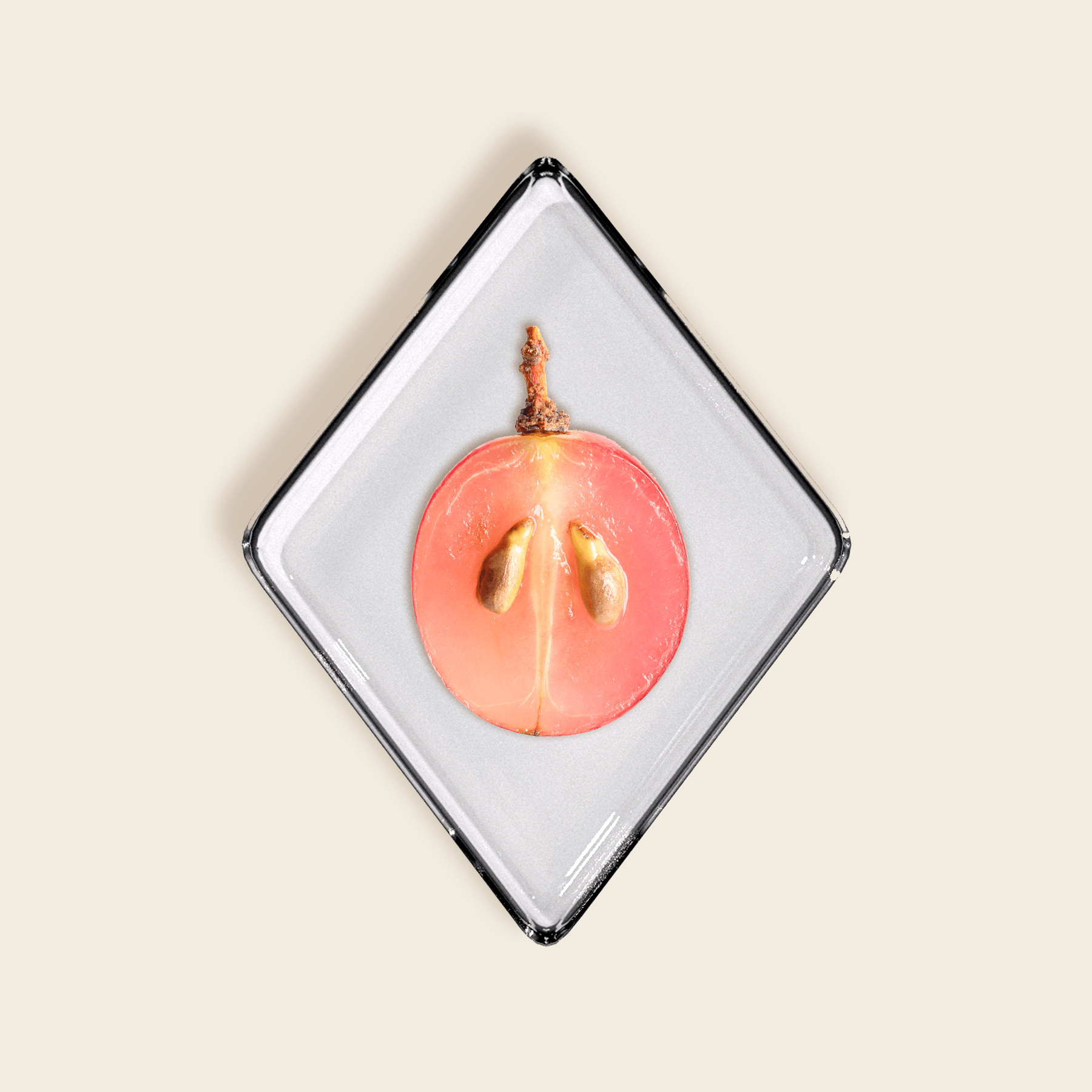 Pépin de raisin - SkinAx2™ : description et bienfaits | Inlissa